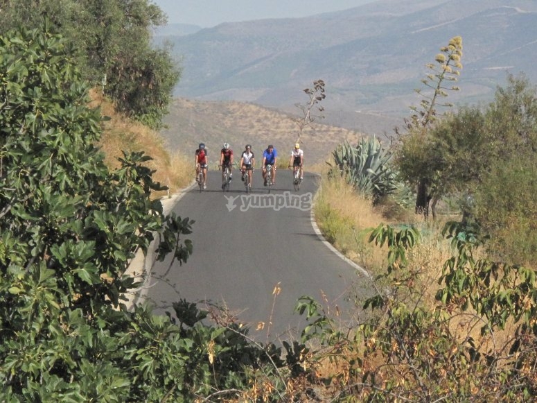 Road bike rental in Almería 1 day from 30€ | Yumping